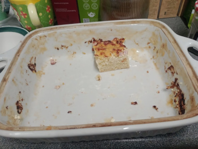 Cheese Onion Slice | Brandt Lab